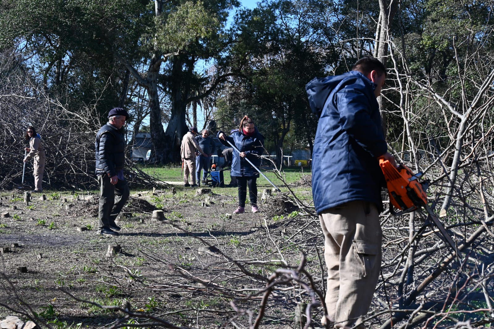 Avanza la eliminación de Acacio Negro y Ligustro en la Reserva ...